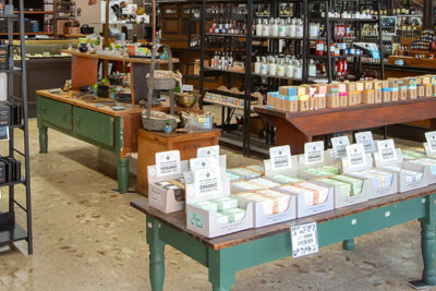 Java Dog – Shop Cotton Exchange